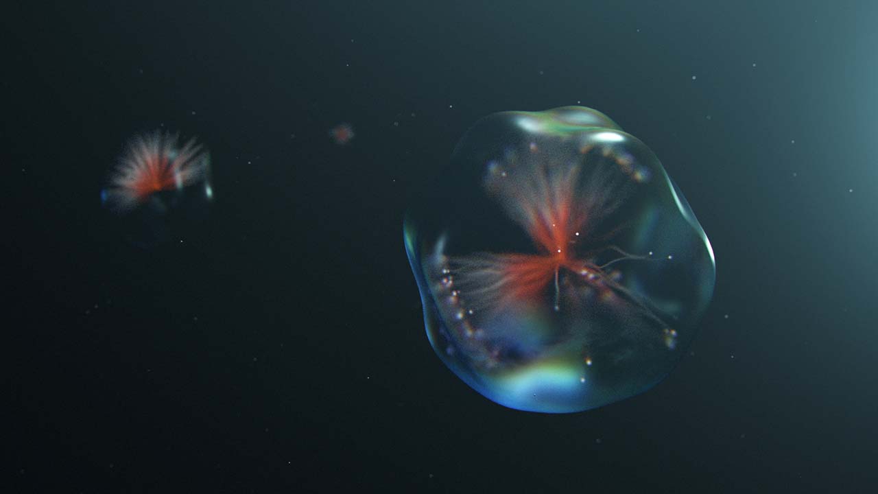 C4D & X-Particles — The Ultimate Power Bundle