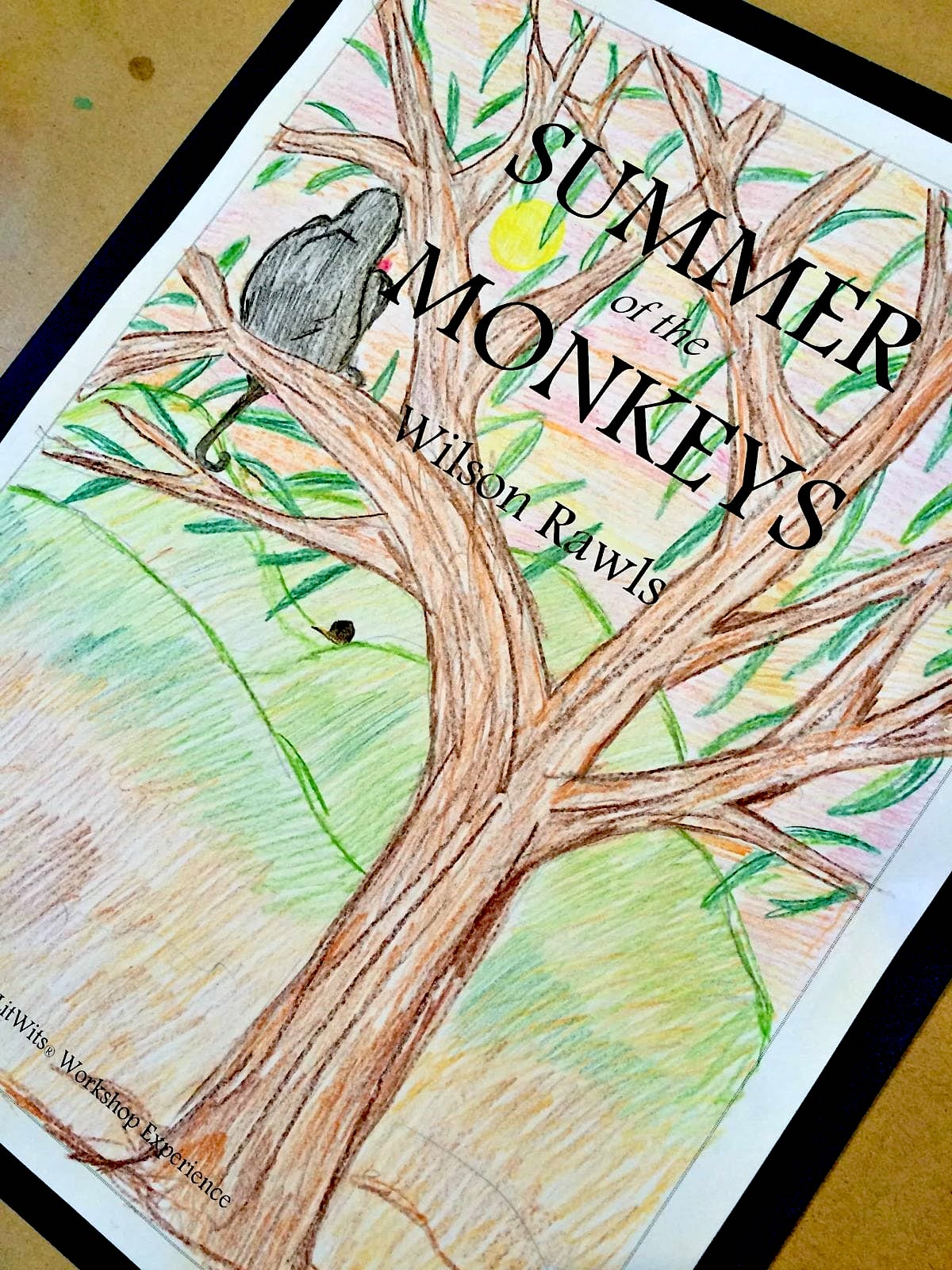 Creative teaching ideas for SUMMER OF THE MONKEYS