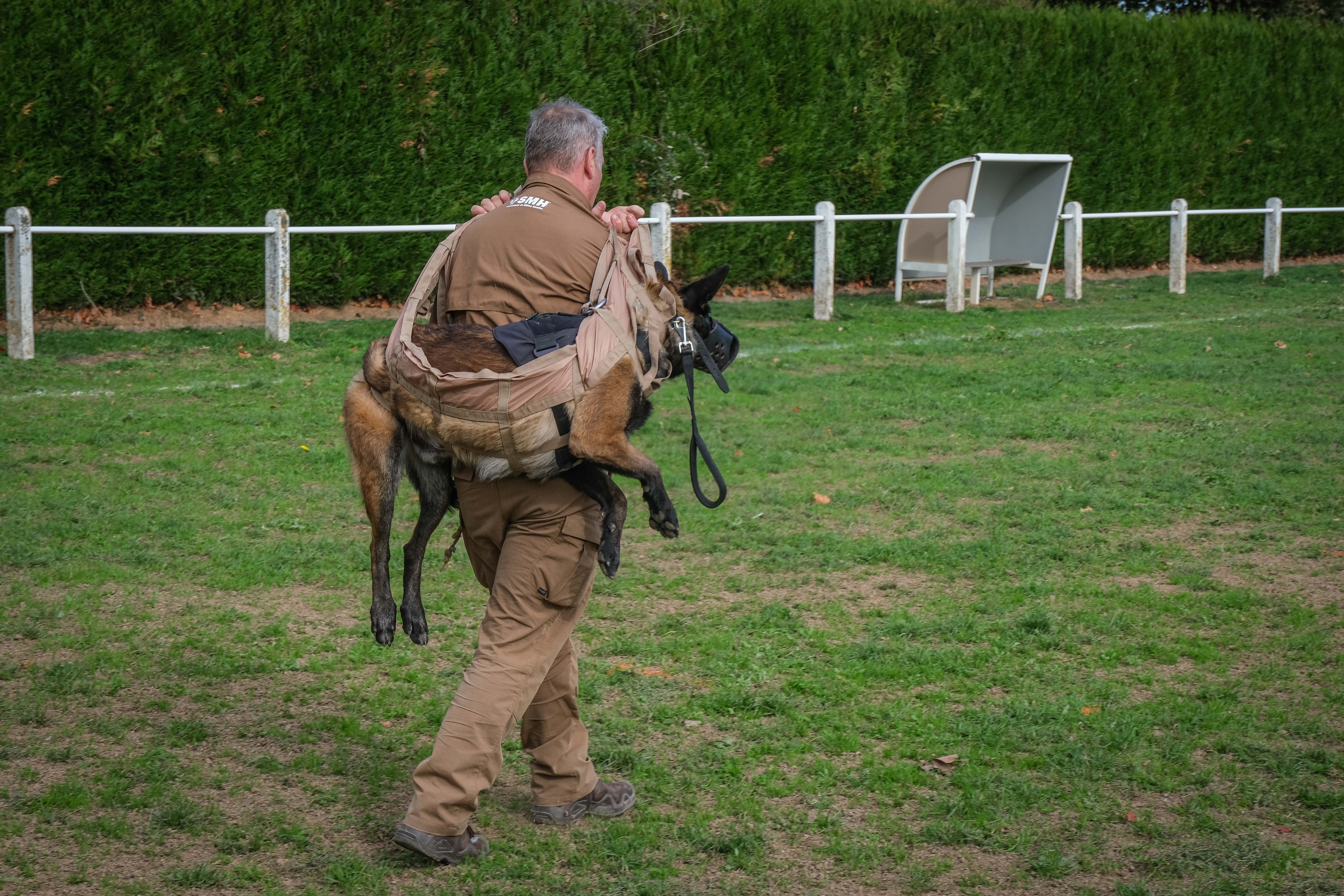 Masterclass - Secourisme Canin