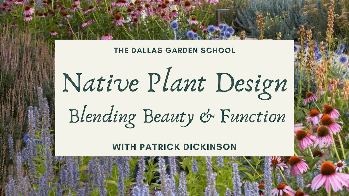 Native Plant Design: Blending Beauty and Function