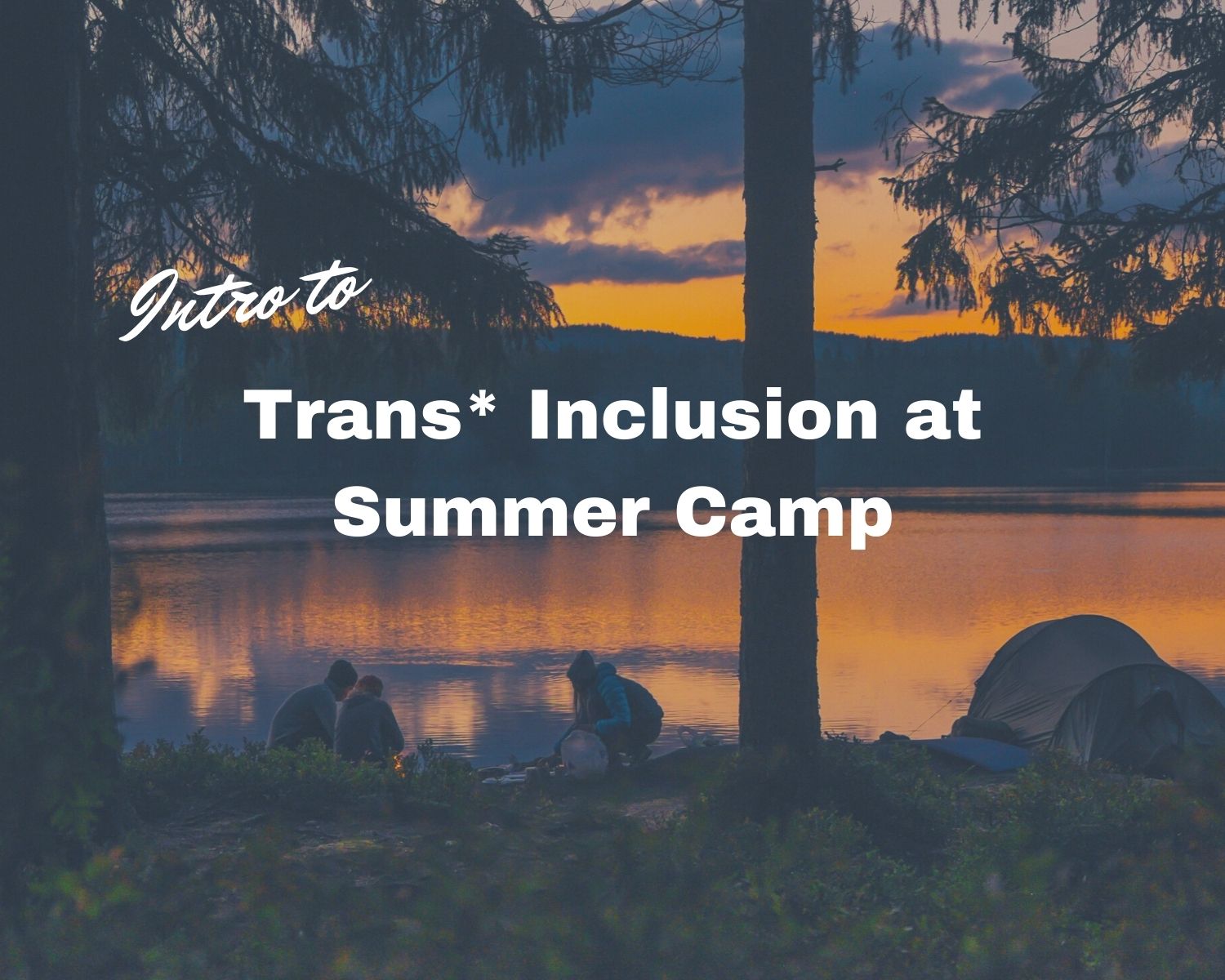 Intro to Trans* Inclusion at Camp- LIVE SESSION