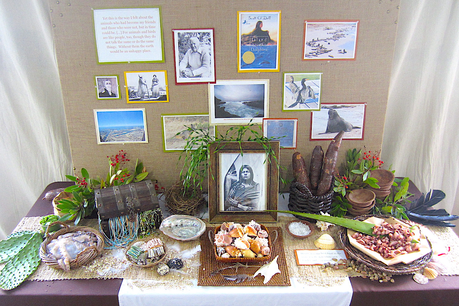 Creative teaching ideas for ISLAND OF THE BLUE DOLPHINS