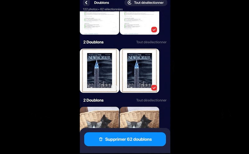 Master Optimisation 2.0 : Gagnez 1 à 2h par jour grâce à des systèmes, astuces et outils ...