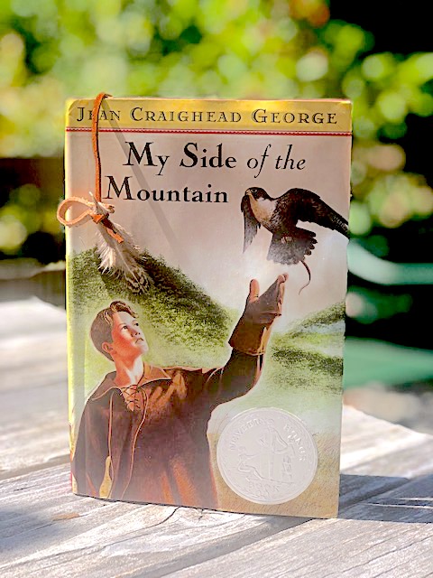 Creative teaching ideas for MY SIDE OF THE MOUNTAIN