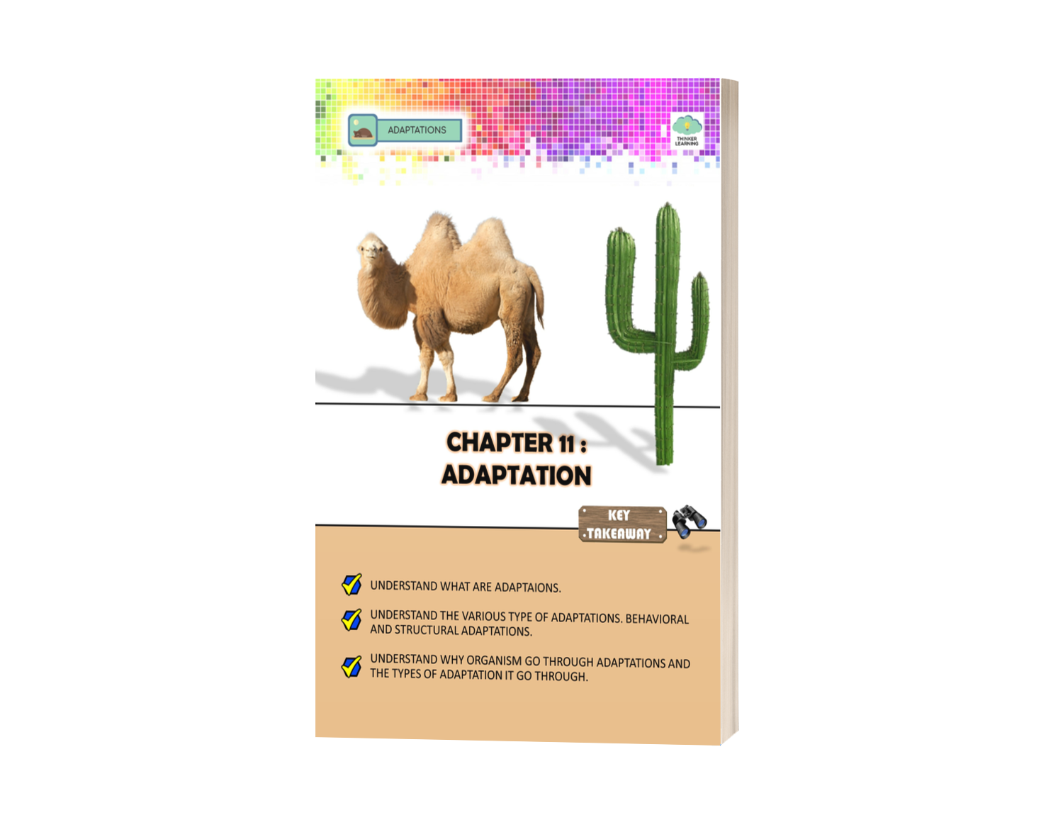 7 Days - Primary 6 Science Mastery Course