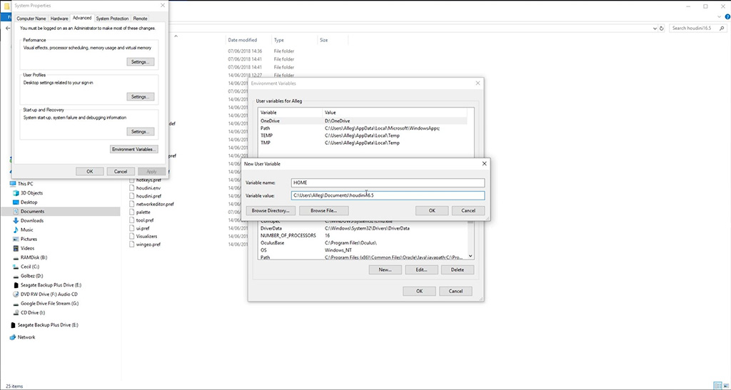 The Artist's Guide to Technical Direction in Houdini: HScript