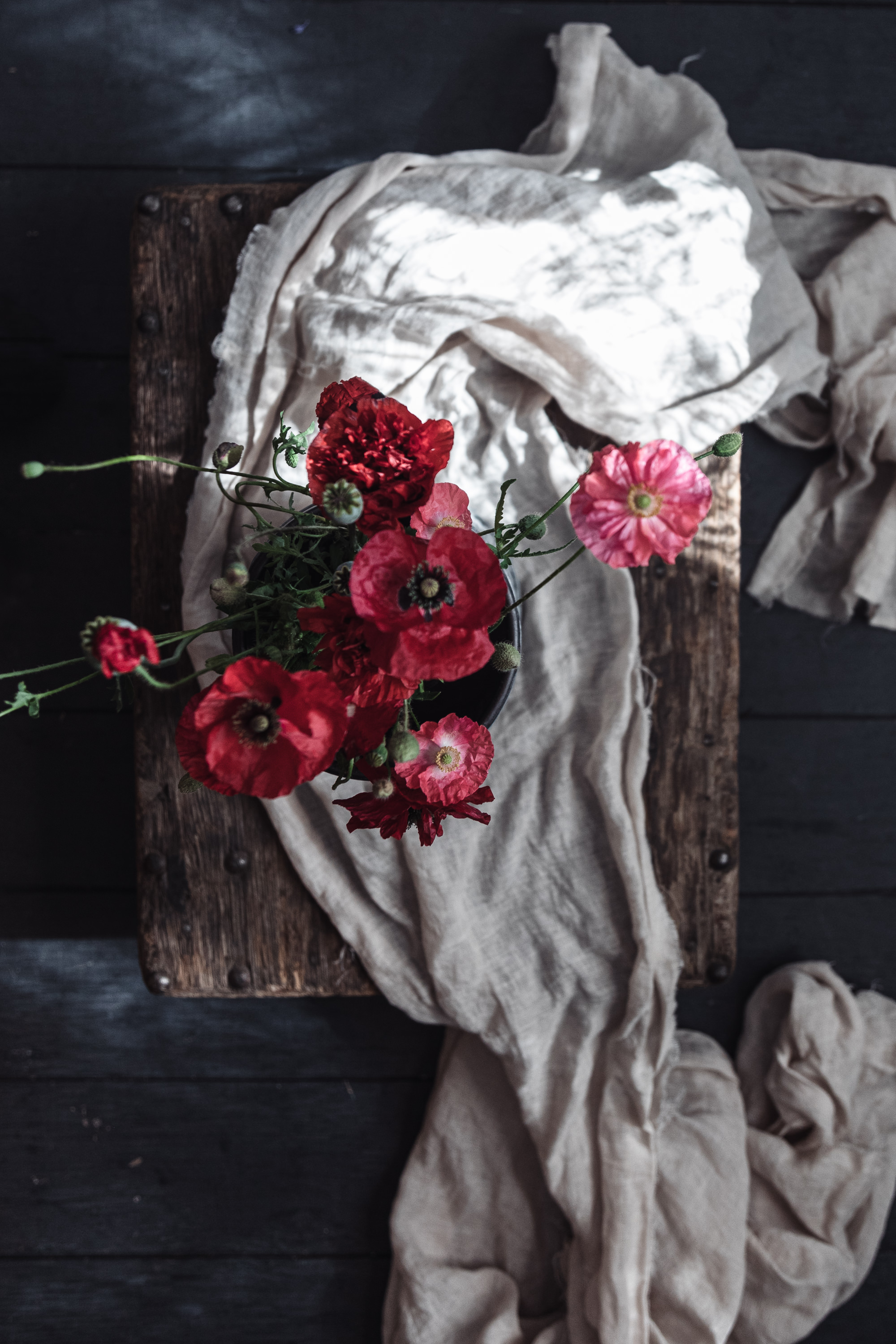 Elevate your Photography