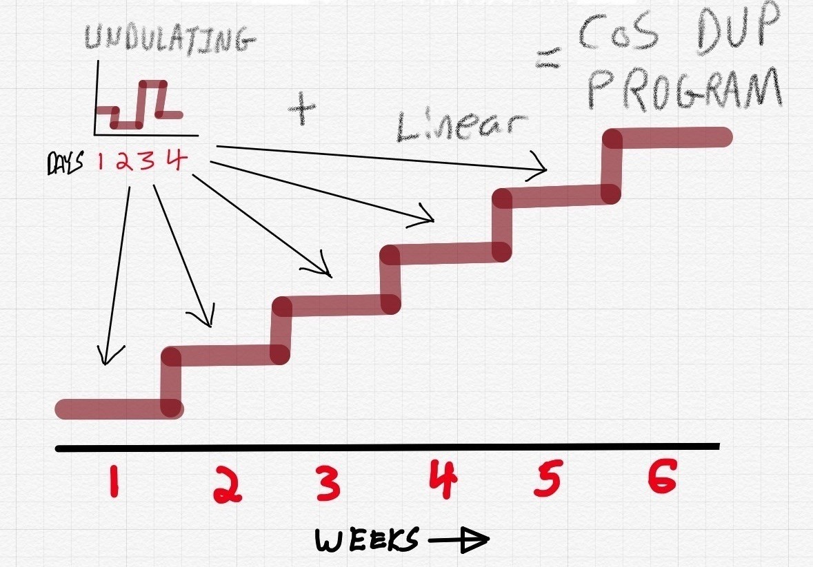6 Week Undulating Strength Program