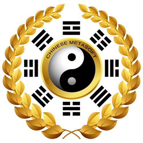 Guide complet d'utilisation de l'application Chinese Metasoft