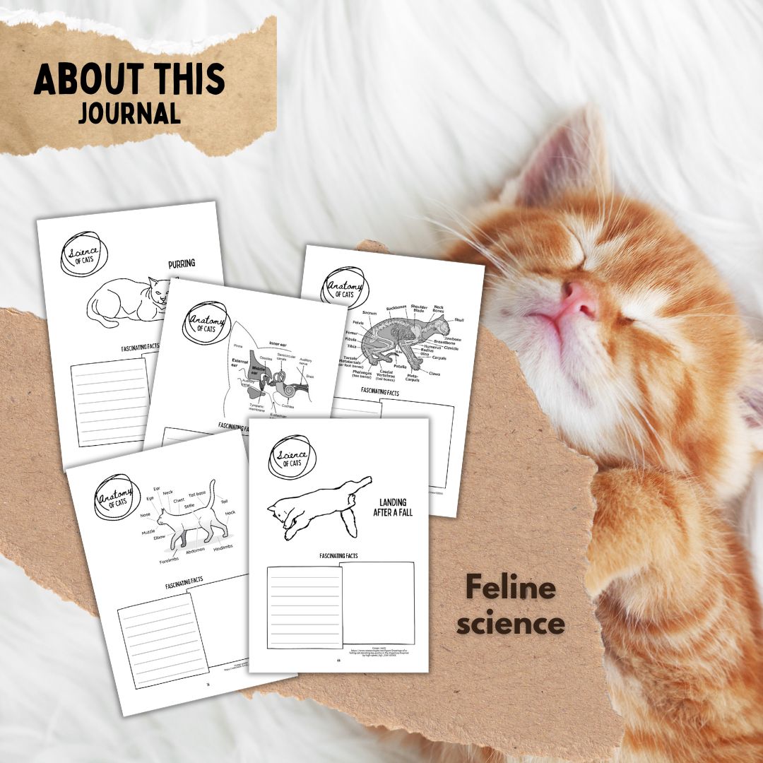 PDF Journal - Cat Lover's Learning Journal