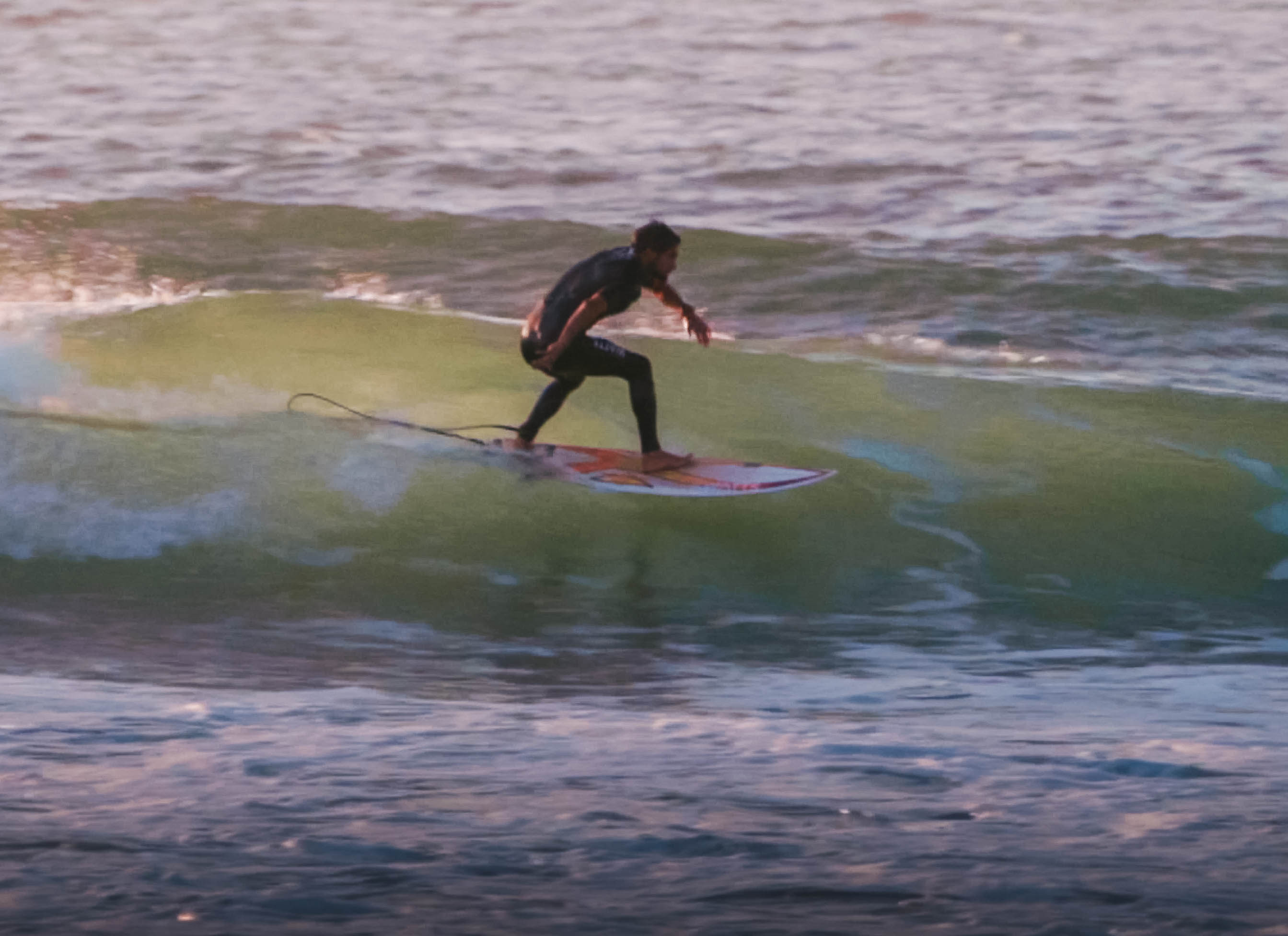 Waved Surf Débutant