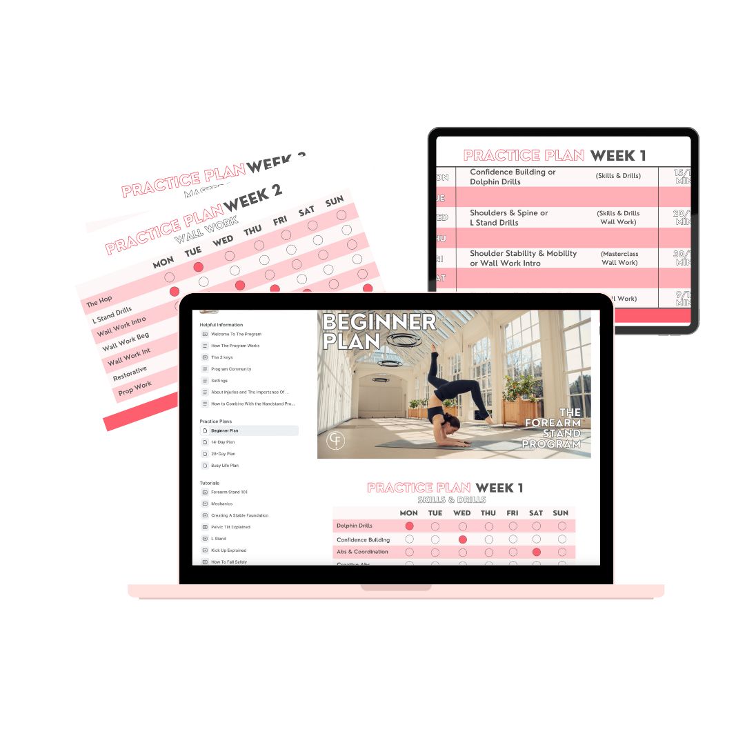 Forearm Stand Program