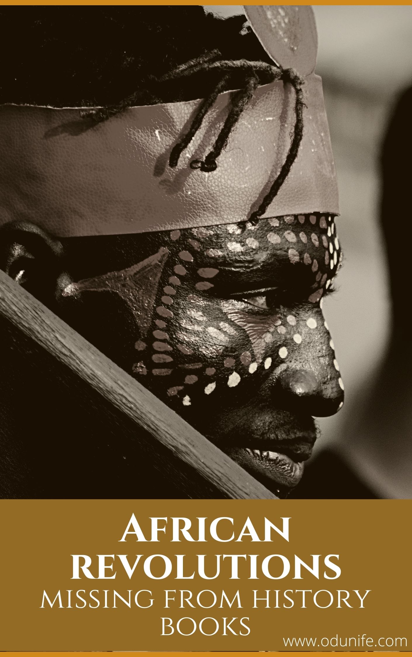 E book- African Revolution Missing from History books