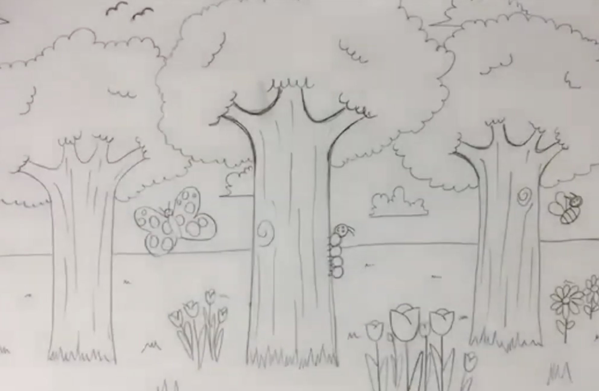 Forest Drawing Class