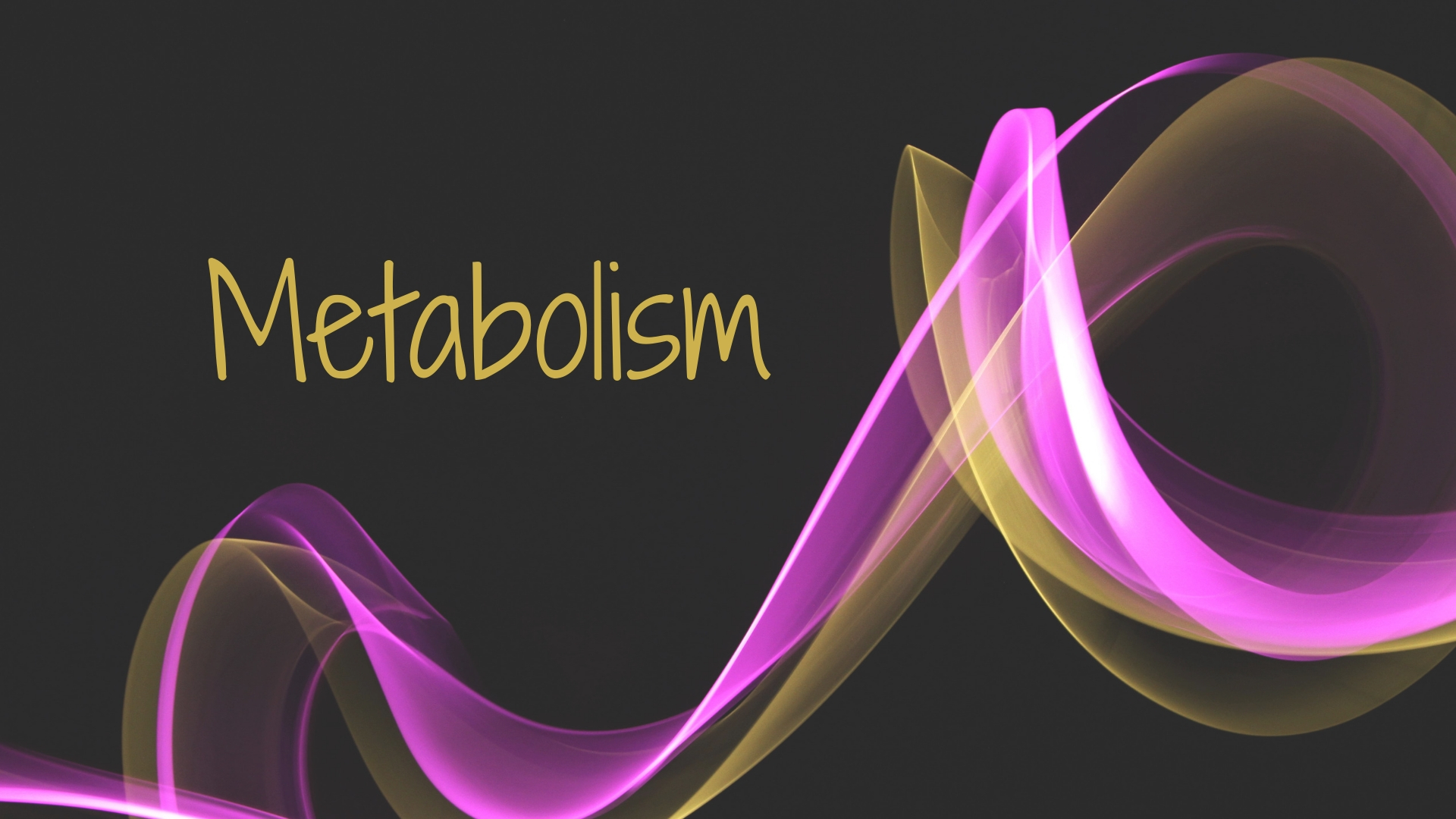 Metabolism