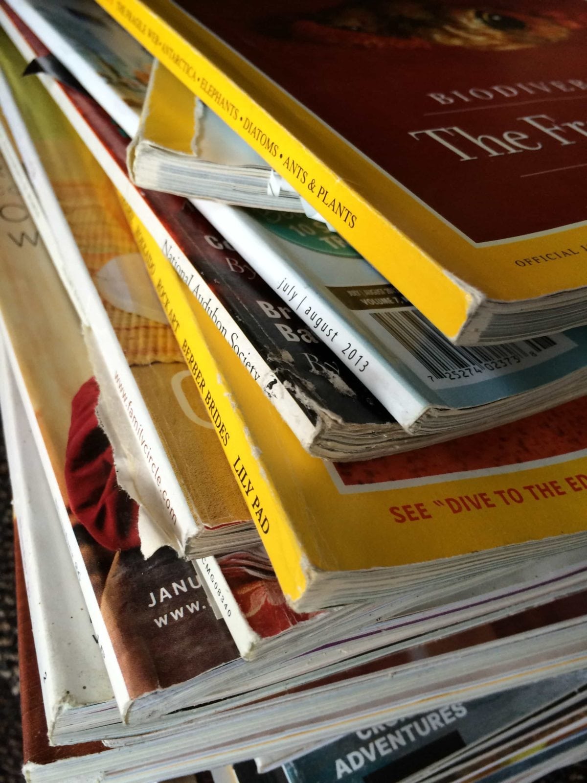 Creative teaching ideas for THE TEMPEST