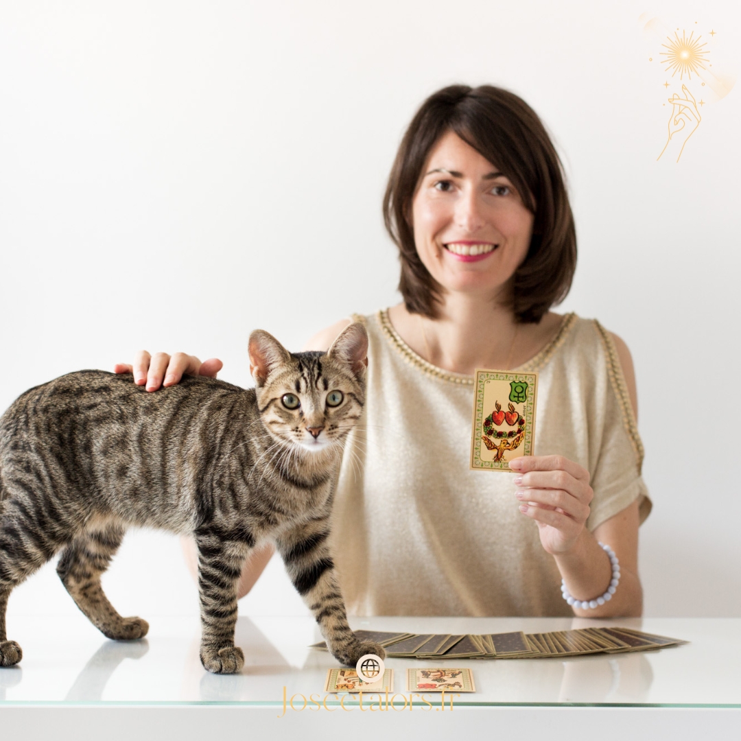 Découvrir et utiliser l'oracle de Belline: guide complet et ressources ...