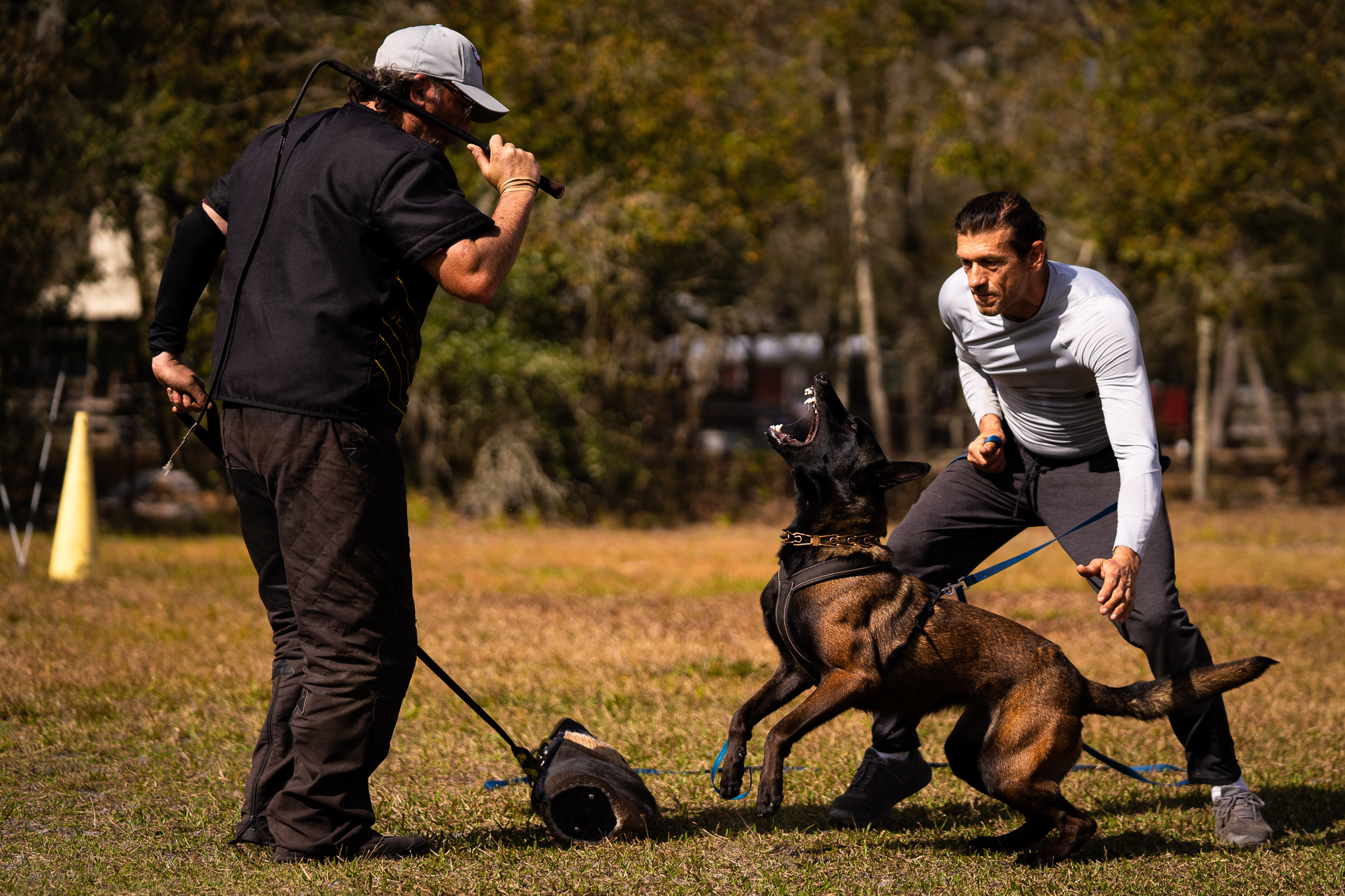 TWC Training Academy