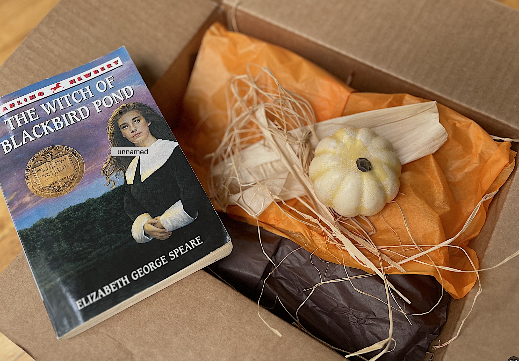 Creative teaching ideas for THE WITCH OF BLACKBIRD POND