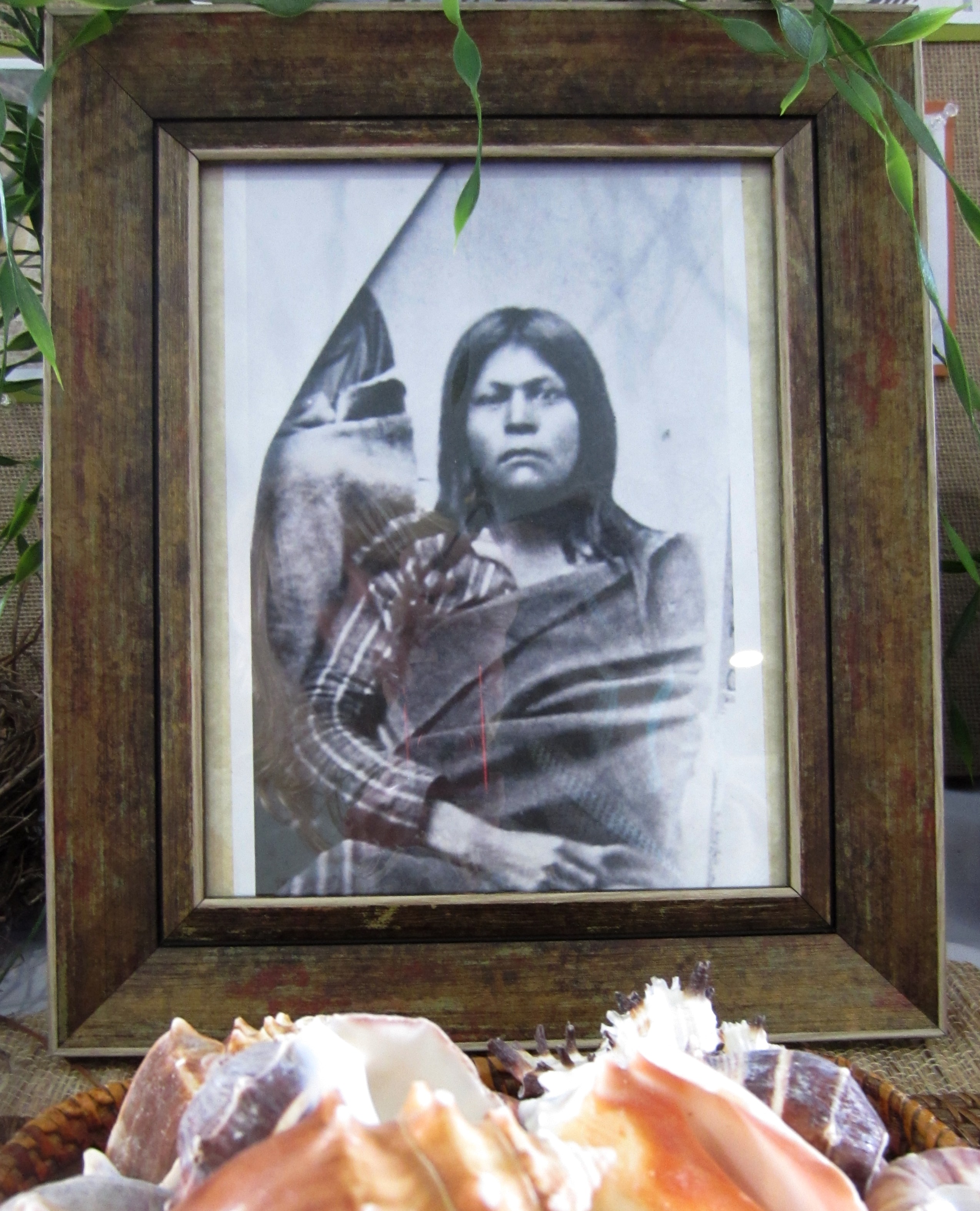 Creative teaching ideas for ISLAND OF THE BLUE DOLPHINS