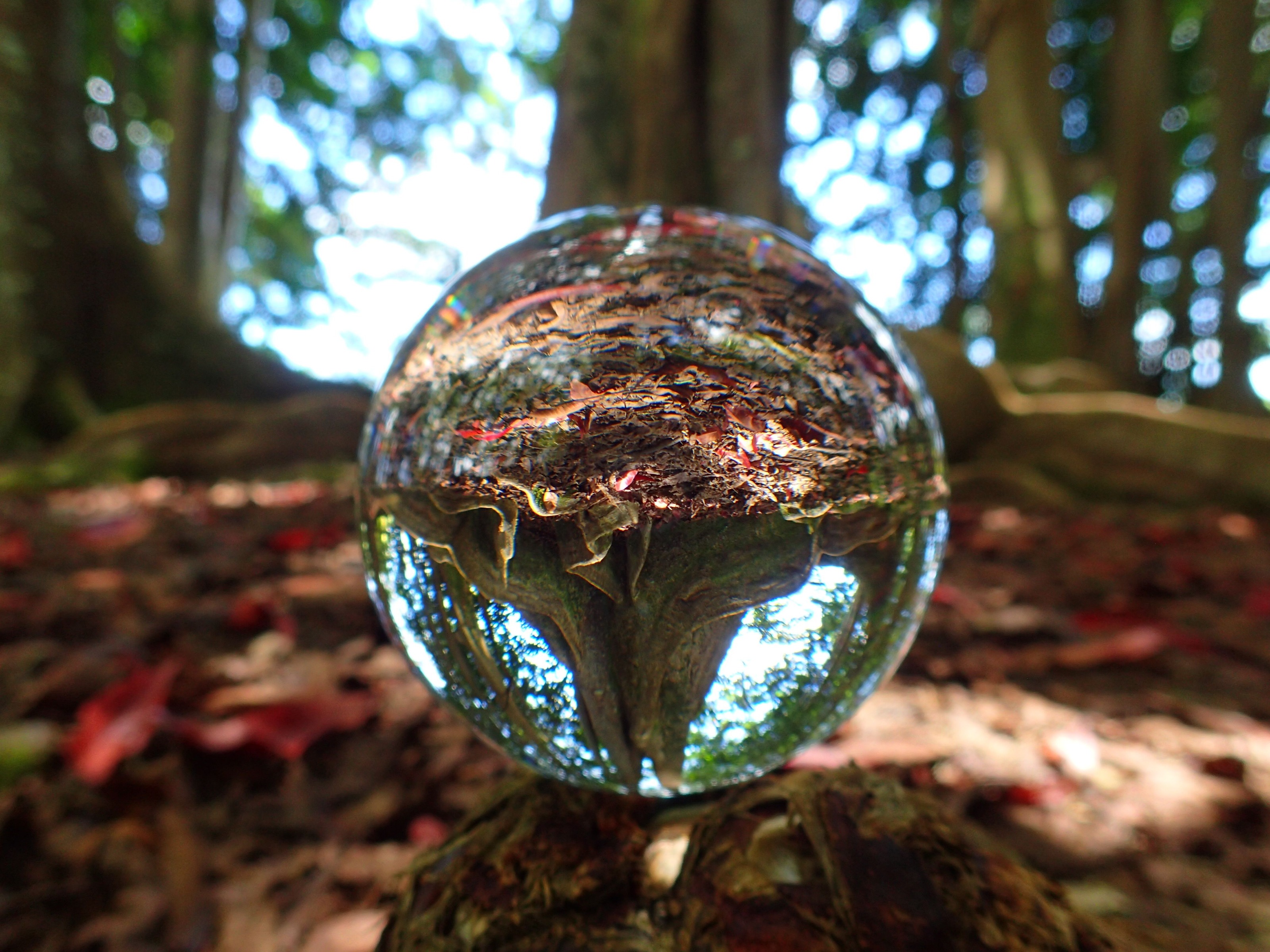 Meditation: A Walk in your Inner Nature