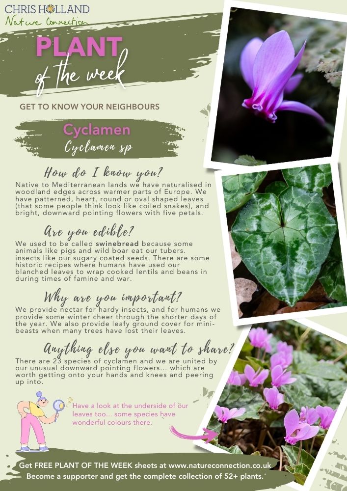 THE PLANT OF THE WEEK COLLECTION