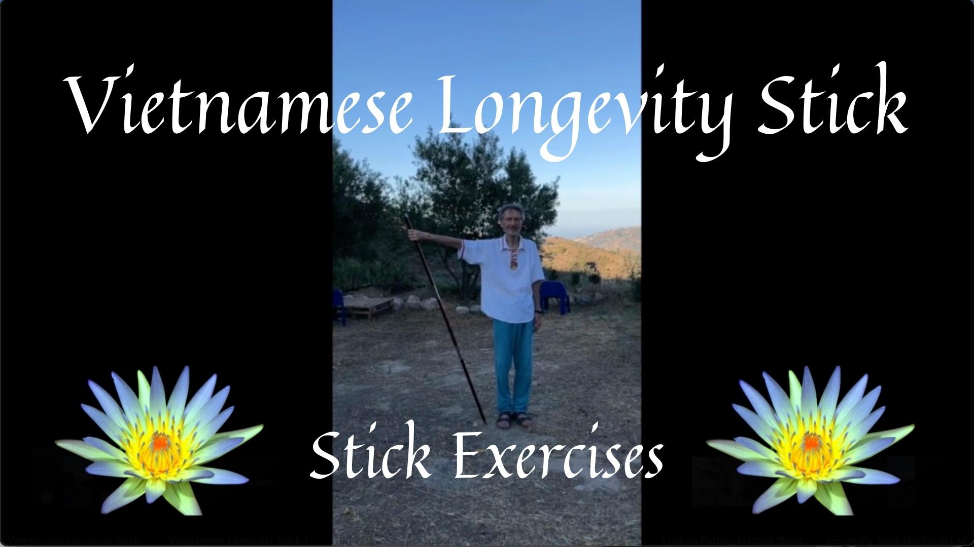 Vietnamese Longevity Stick, Vitality Exercises & Martial Art Sequence