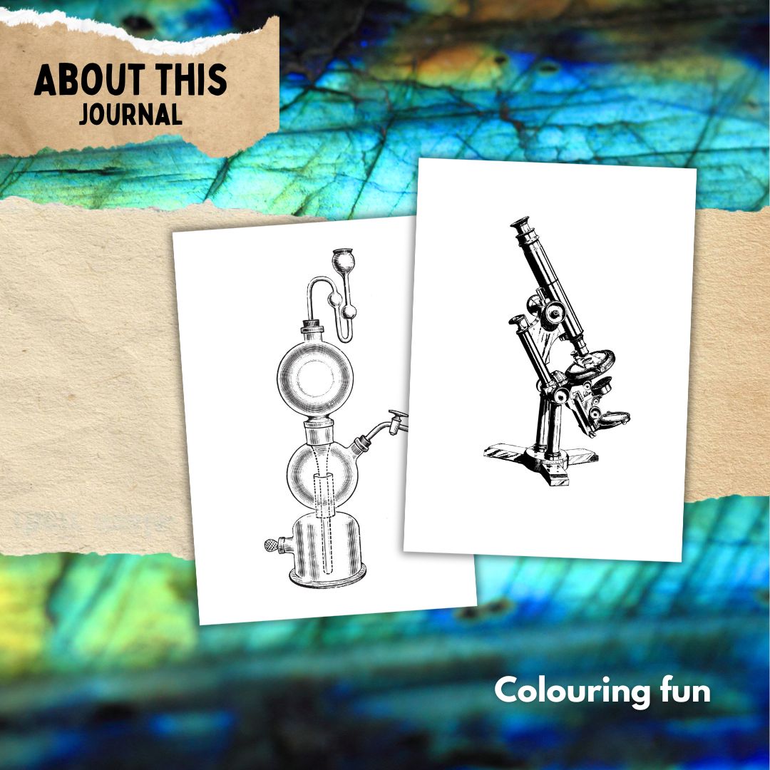 PDF Journal - Periodic Table of Elements Research Journal