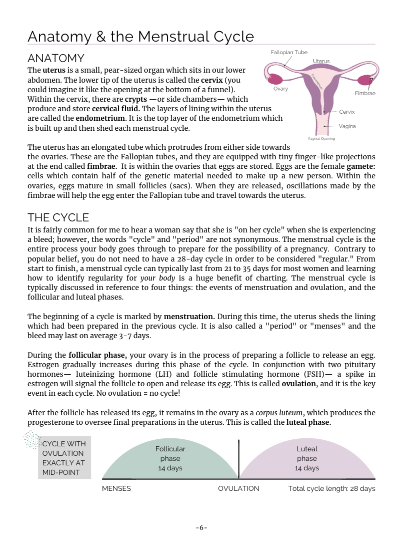 Cycle Charting for Single Women