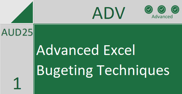 Advanced Excel Budgeting Techniques