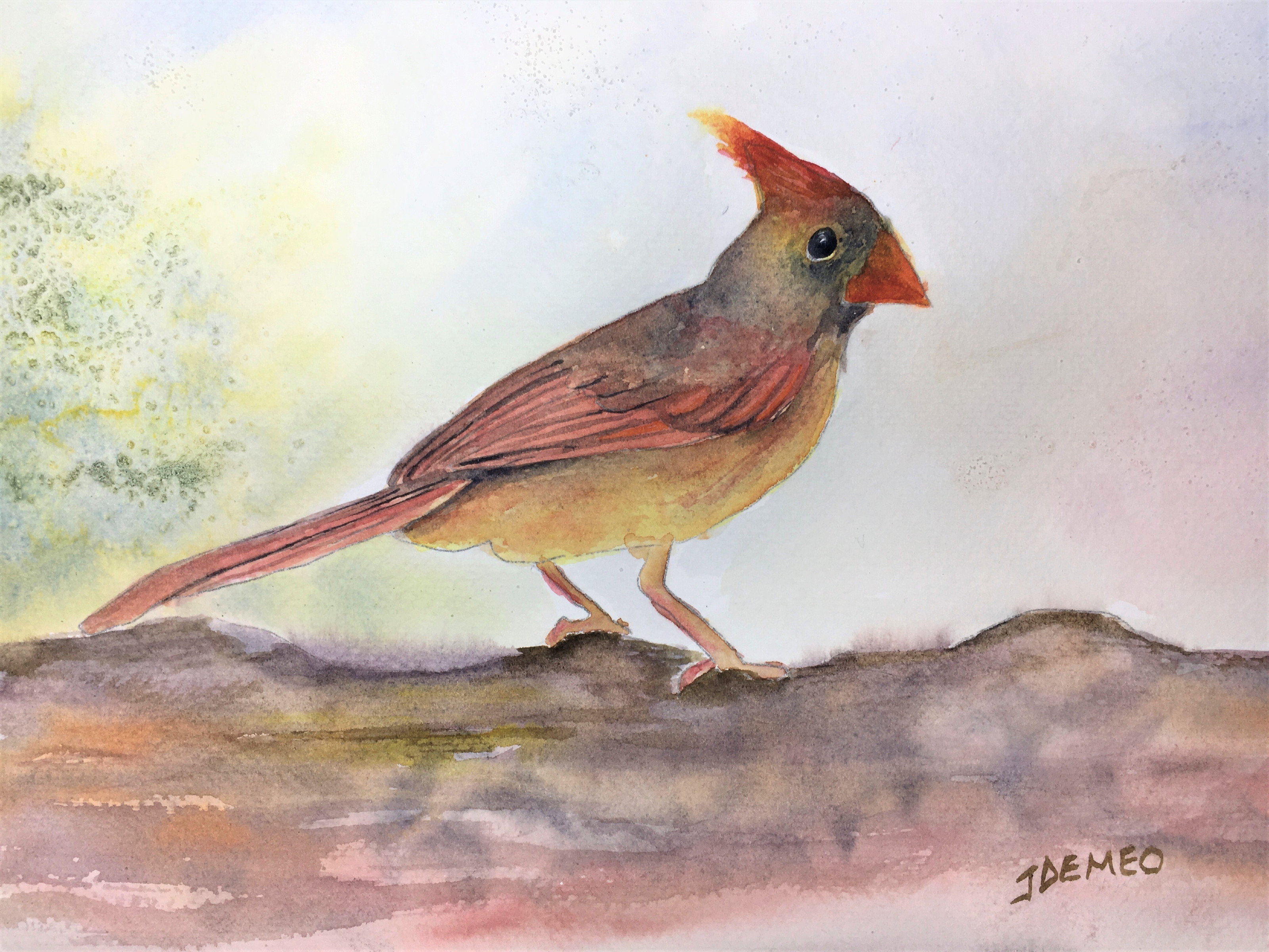 Female Cardinal Drawing