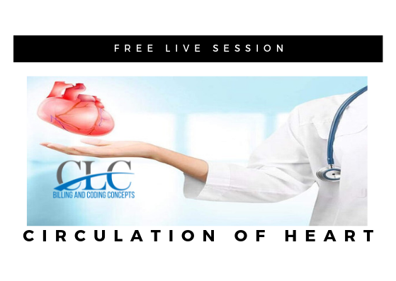 CLC Billing & Coding Concepts