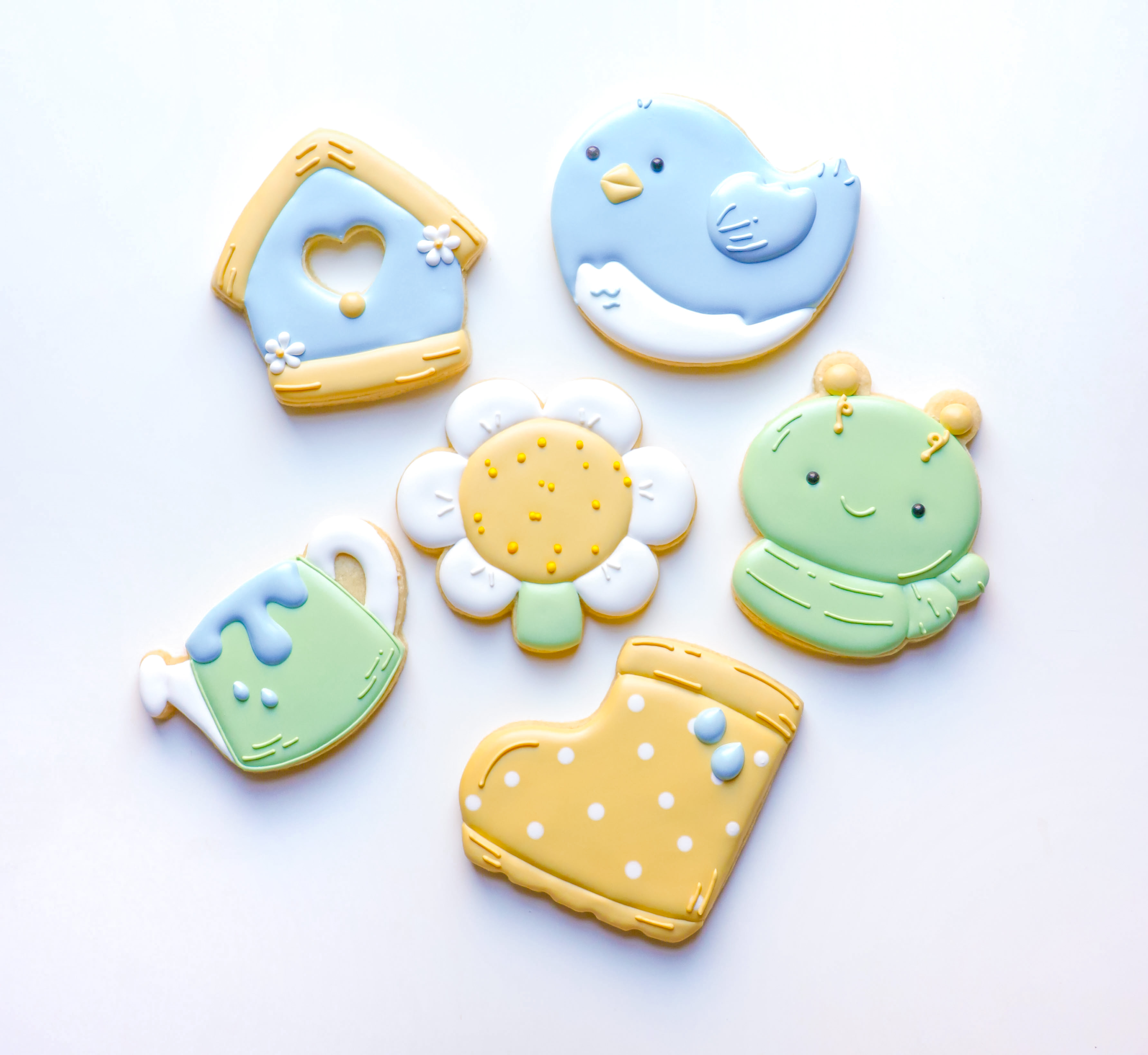 Teach a Cookie Class!