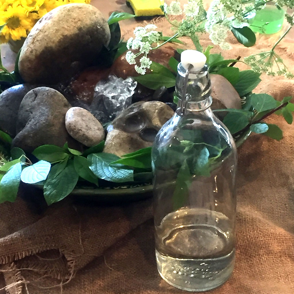 Creative teaching ideas for TUCK EVERLASTING