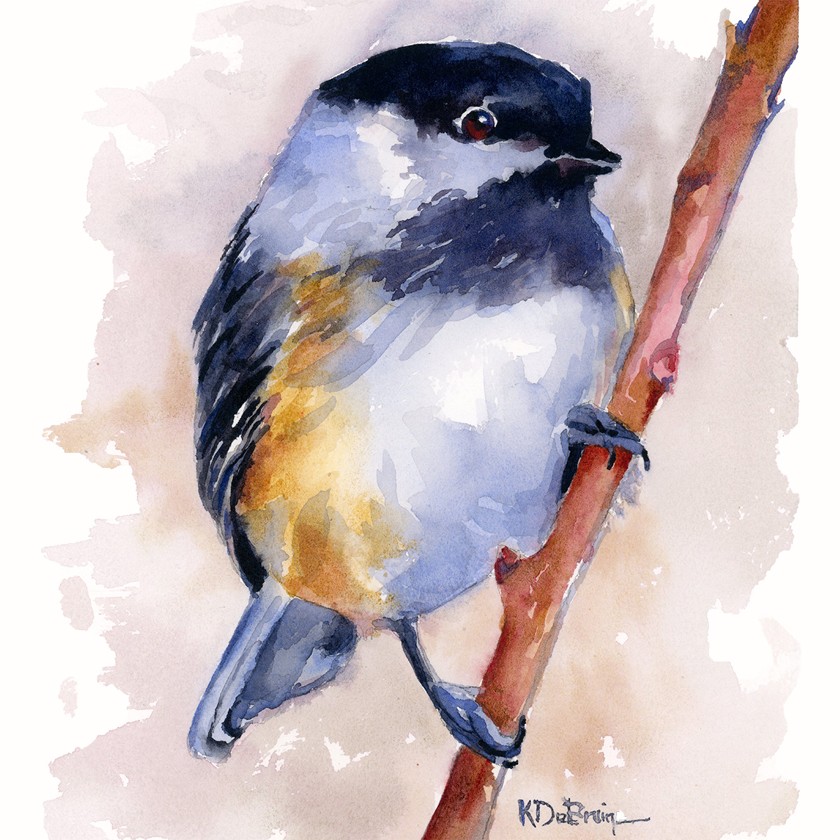 Quick Guide: A Cute Chickadee