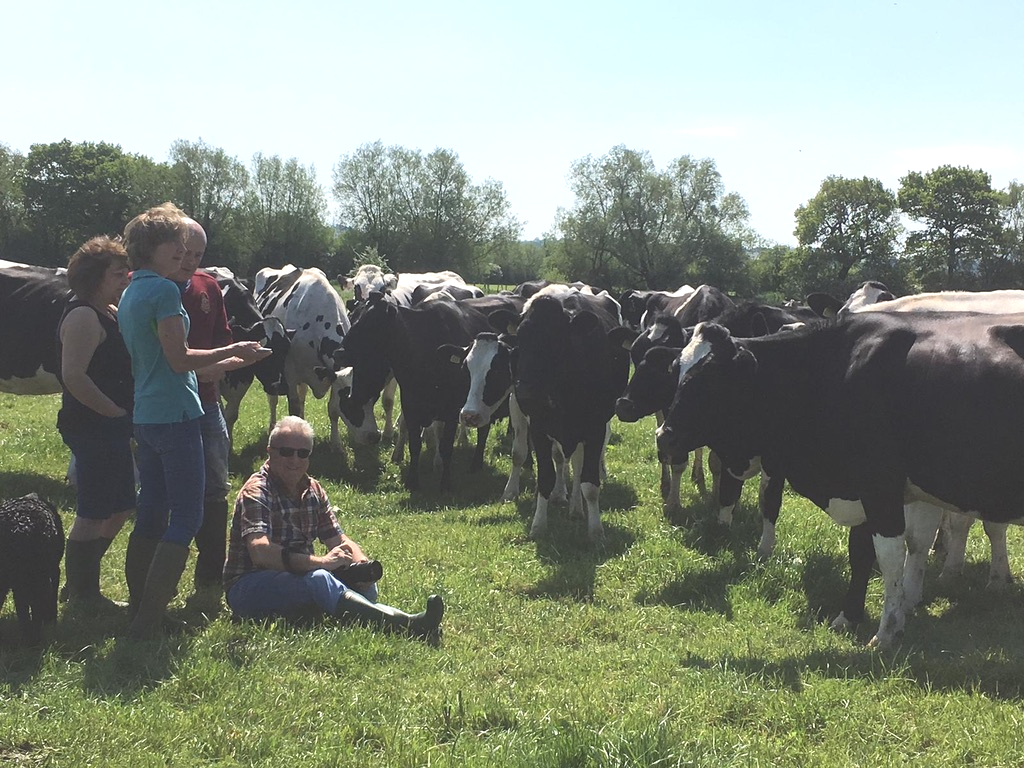 A Foundation Course in Farm Homeopathy