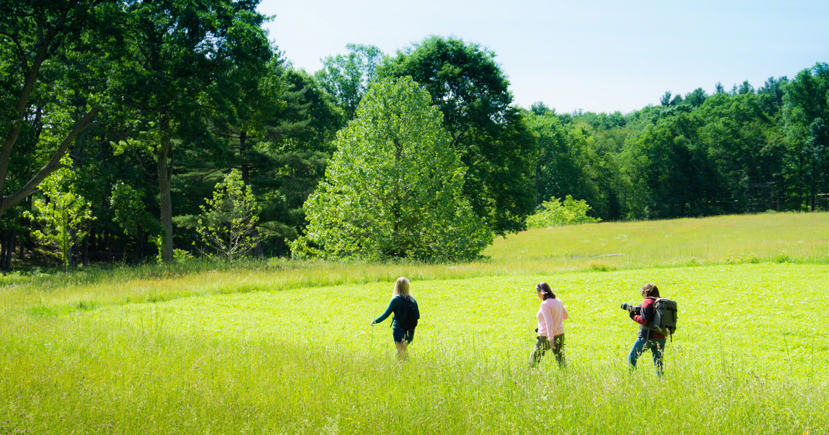 Photo Explorers downloads