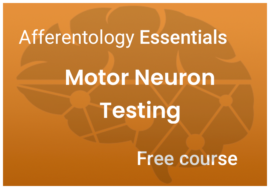 Motor Neuron Testing