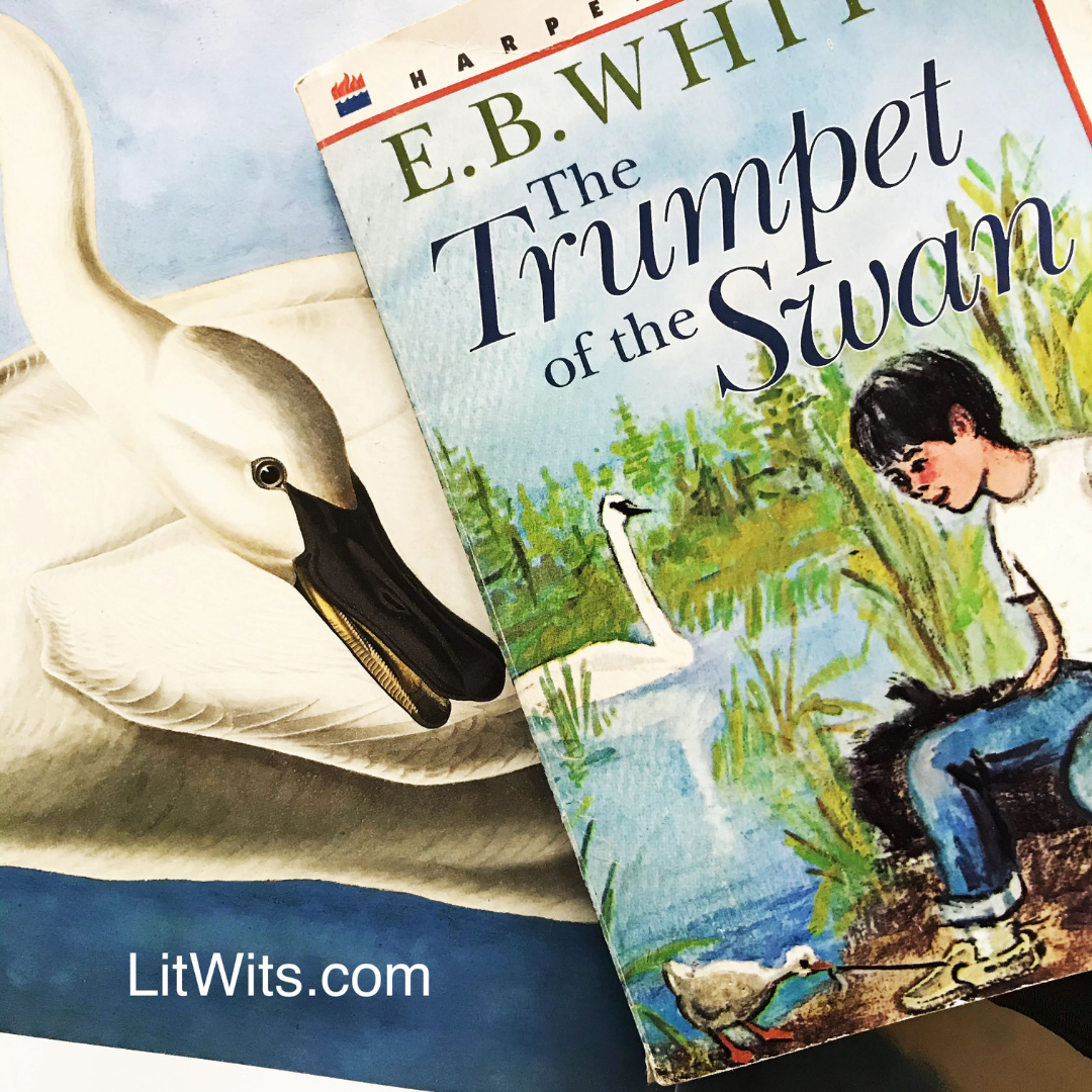 Creative teaching ideas for THE TRUMPET OF THE SWAN