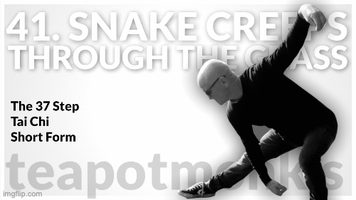 Learn the 37 Step Tai Chi Short Form