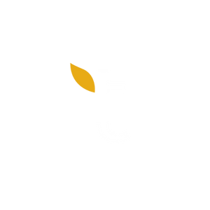 Sustainable Tourism Online Courses