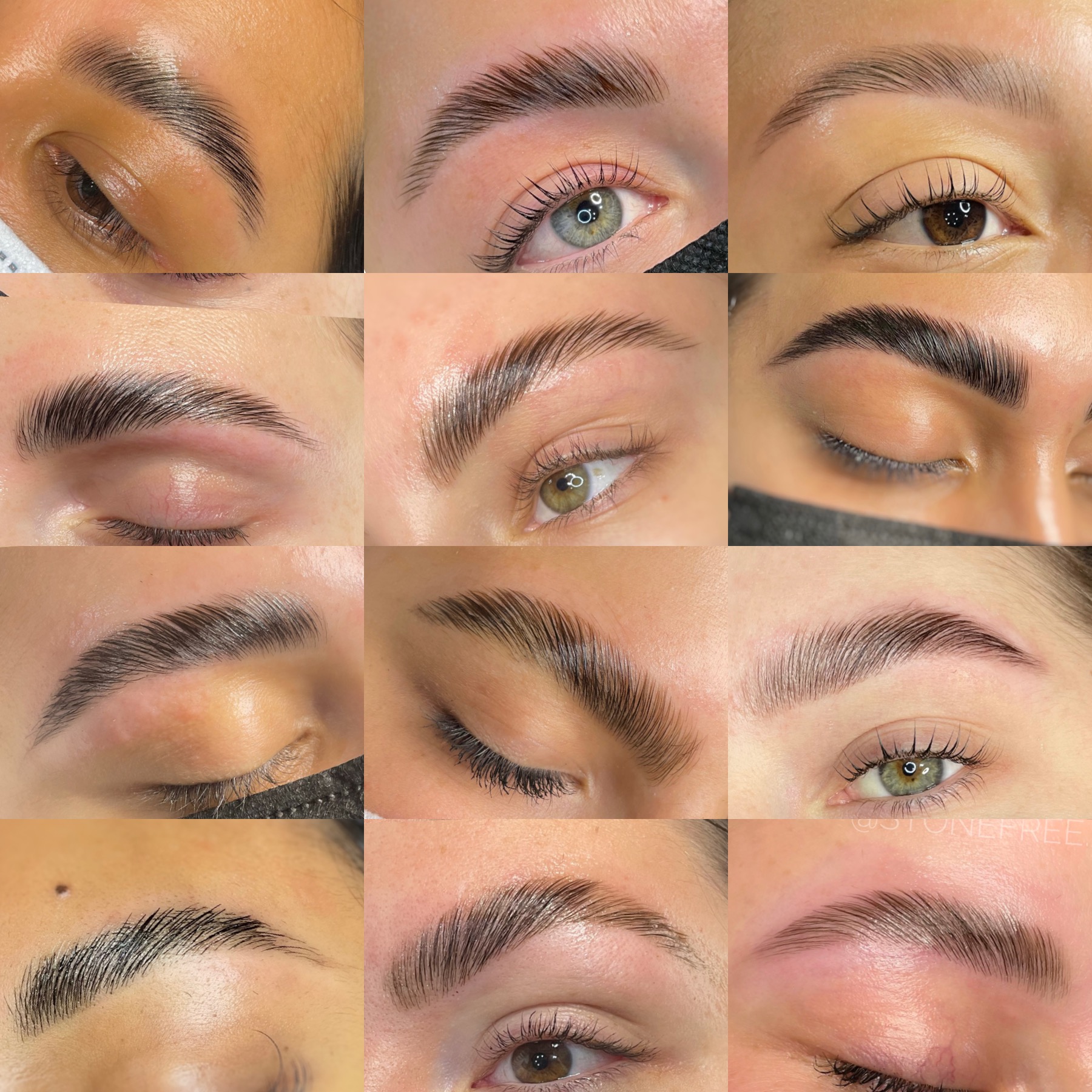 Brow Lamination Masterclass