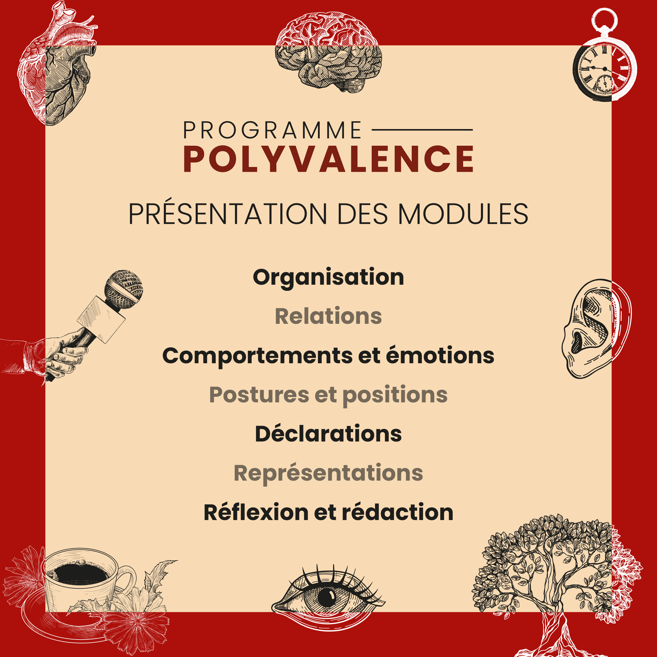 Programme Polyvalence