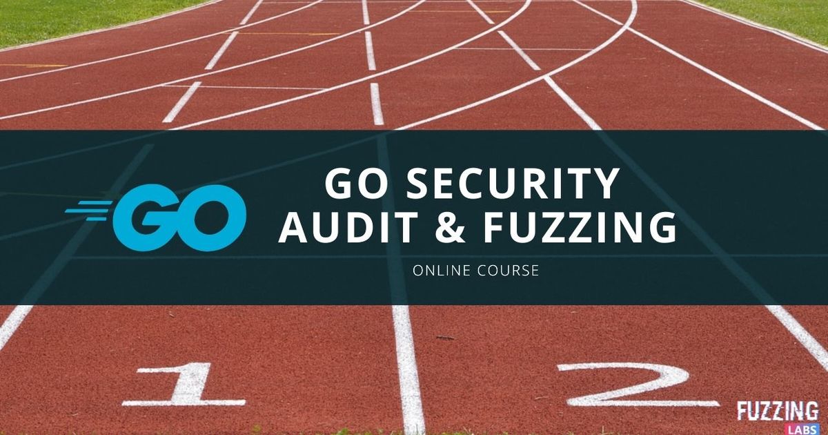 Go Audit and Code Review