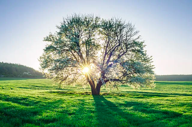 Constructive Thinker