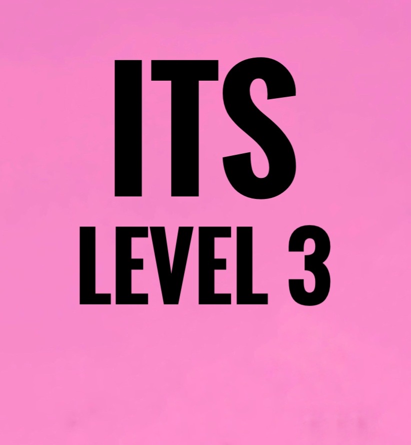 ITS Level 3