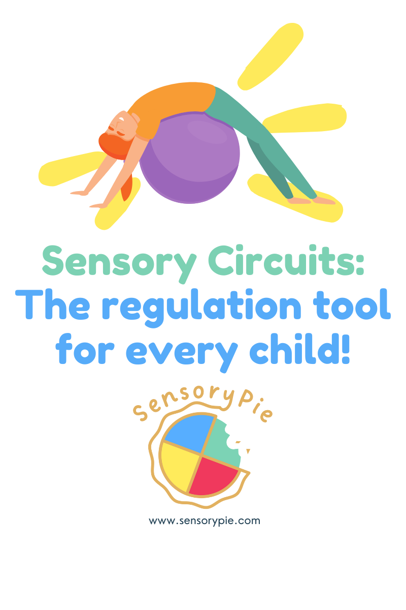 What is a sensory circuit?