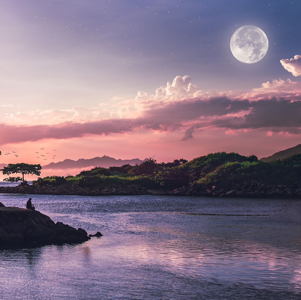 Full Moon Feelings and Healings