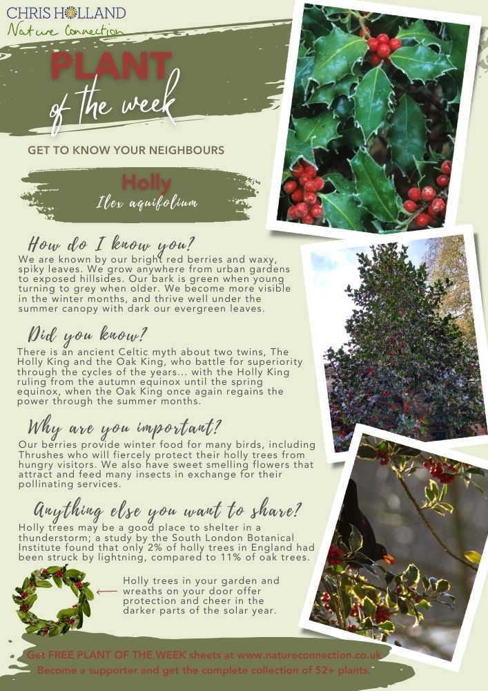 THE PLANT OF THE WEEK COLLECTION