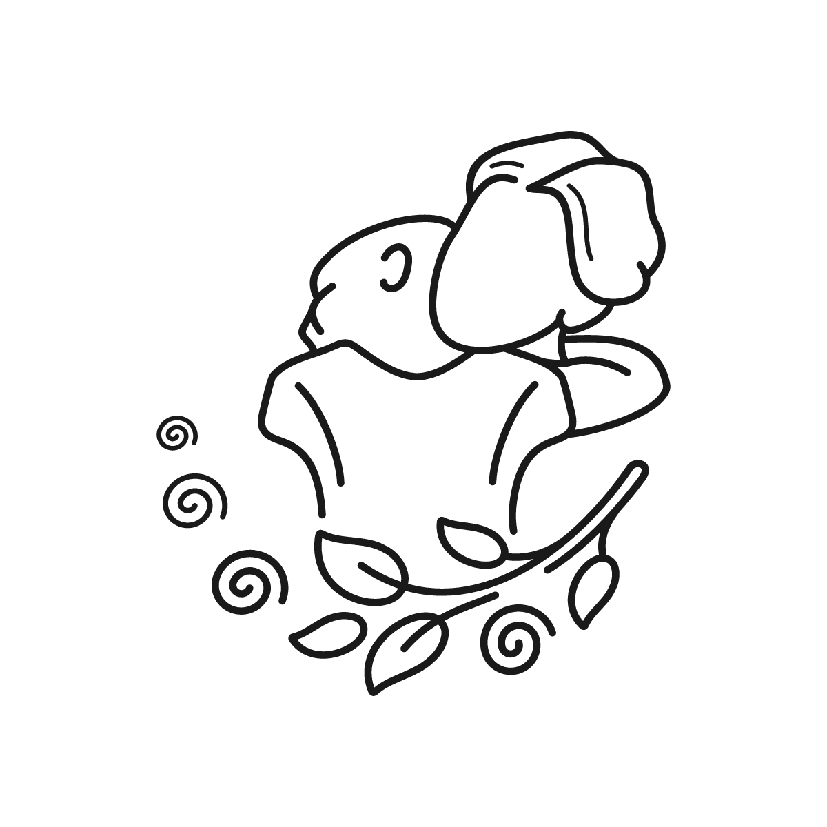 Environment Collection